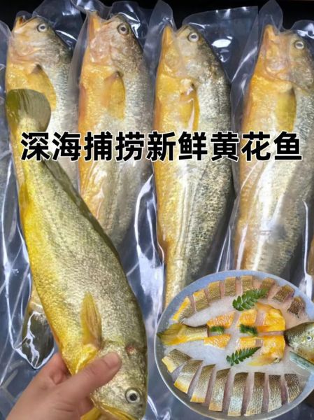 黄花鱼多少钱一斤_黄花鱼价格为什么波动大-第3张图片-山城妙识