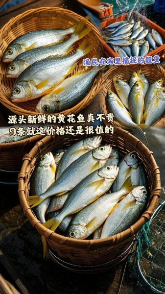 黄花鱼多少钱一斤_黄花鱼价格为什么波动大-第1张图片-山城妙识