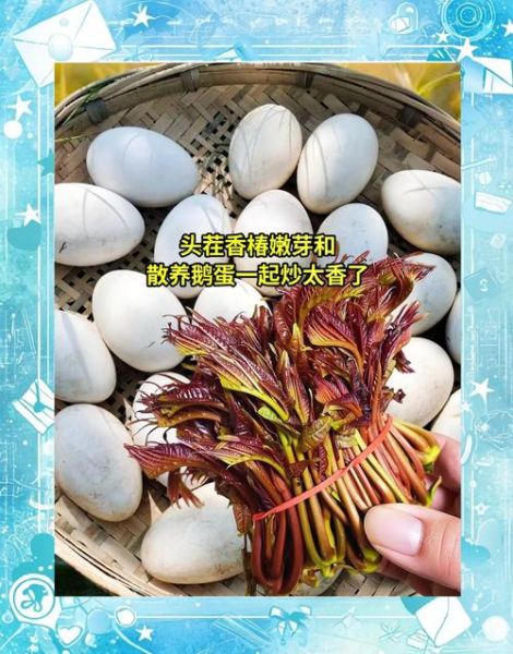 香椿炒鹅蛋的功效与禁忌_孕妇能吃吗-第2张图片-山城妙识