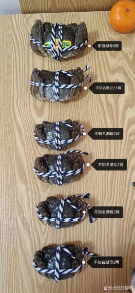 阳澄湖牌大闸蟹多少钱一只_如何辨别真假-第2张图片-山城妙识