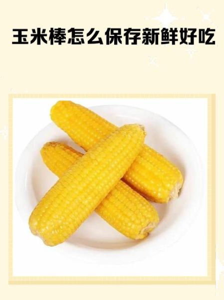 鲜玉米棒怎样长期保存_鲜玉米冷冻一年还能吃吗-第2张图片-山城妙识