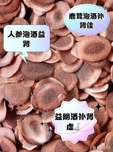 补肾壮阳延时药酒配方_男人肾虚早泄喝什么药酒好-第3张图片-山城妙识