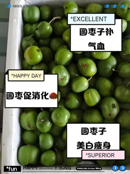 黑圆枣子的功效与作用_黑圆枣子怎么吃最好-第1张图片-山城妙识