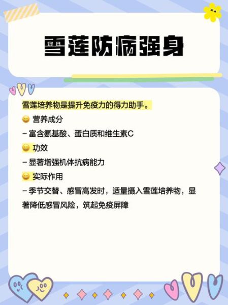 雪莲菌怎么养_雪莲菌的正确养法-第3张图片-山城妙识