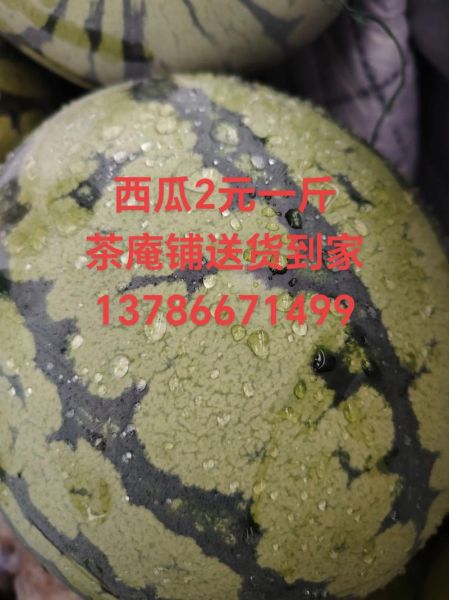 籽瓜是什么_籽瓜和西瓜的区别-第1张图片-山城妙识