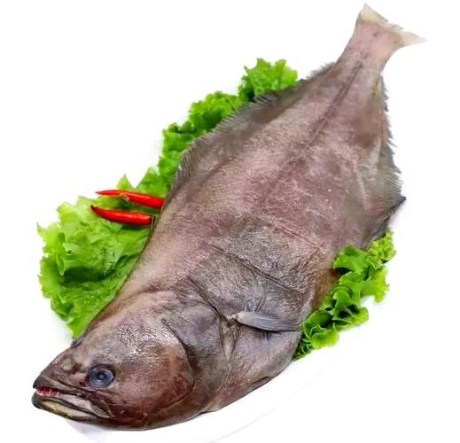 鸦片鱼养殖技术_鸦片鱼养殖常见问题-第2张图片-山城妙识