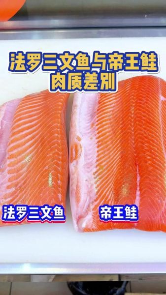 鲑鱼和三文鱼的区别_孕妇吃鲑鱼安全吗-第3张图片-山城妙识 鲑鱼和三文鱼的区别_孕妇吃鲑鱼安全吗-第3张图片-山城妙识