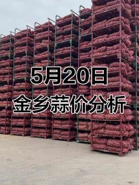 金乡大蒜今天价格多少钱一斤_金乡大蒜最新行情-第3张图片-山城妙识 金乡大蒜今天价格多少钱一斤_金乡大蒜最新行情-第3张图片-山城妙识