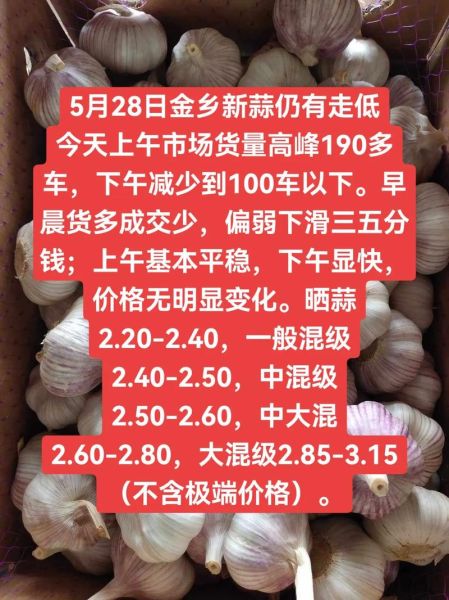 金乡大蒜今天价格多少钱一斤_金乡大蒜最新行情-第2张图片-山城妙识 金乡大蒜今天价格多少钱一斤_金乡大蒜最新行情-第2张图片-山城妙识