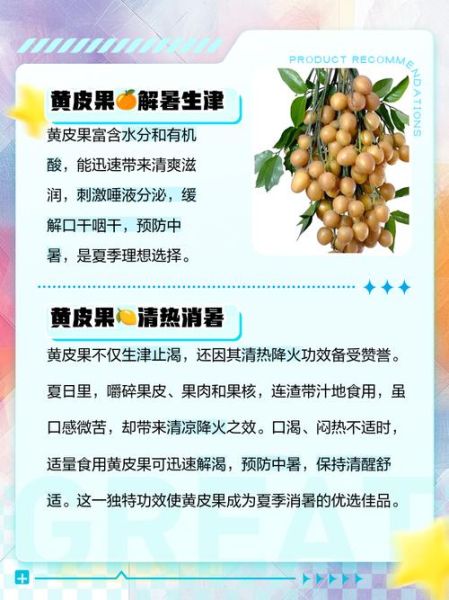 黄皮的功效与作用_怎么吃效果最好-第3张图片-山城妙识