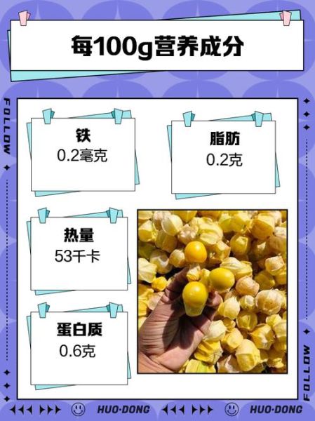 黄姑娘果学名叫什么_黄姑娘果营养价值-第1张图片-山城妙识