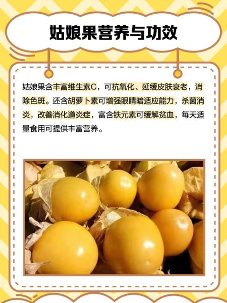 黄姑娘果学名叫什么_黄姑娘果营养价值-第3张图片-山城妙识