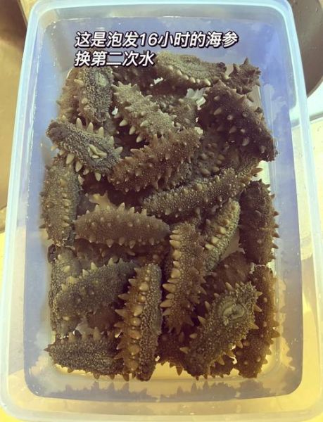 干海参怎么发好_干海参泡发多久-第1张图片-山城妙识