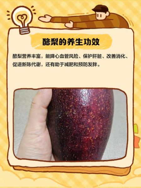 酪梨的功效与作用_酪梨怎么吃最营养-第3张图片-山城妙识