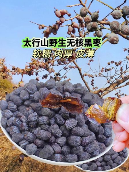 黑枣的功效与作用_黑枣图片怎么辨别真假-第2张图片-山城妙识