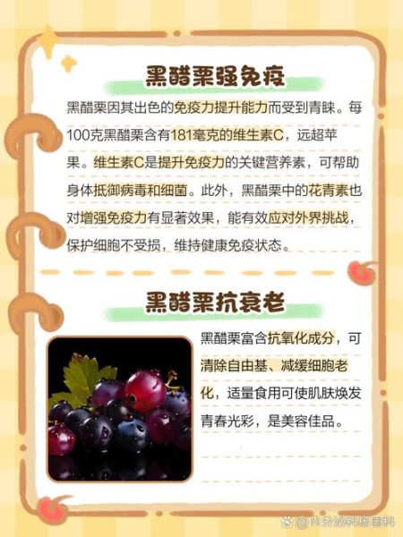 黑醋栗叶的功效与作用_黑醋栗叶怎么泡水喝-第3张图片-山城妙识