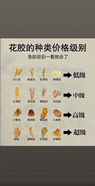 鱼胶品种排行_哪种鱼胶最好-第2张图片-山城妙识
