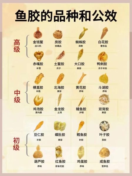 鱼胶品种排行_哪种鱼胶最好-第1张图片-山城妙识