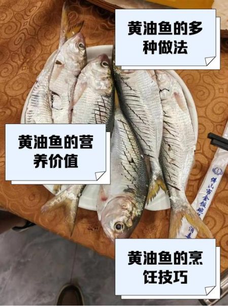 油鱼多少钱一斤_油鱼价格为什么差异大-第1张图片-山城妙识