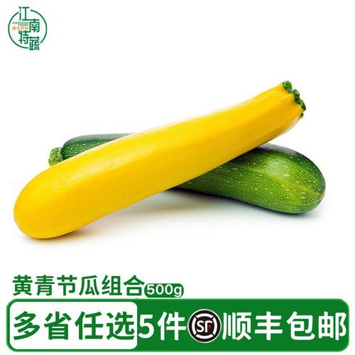 黄节瓜图片_黄节瓜长什么样-第3张图片-山城妙识