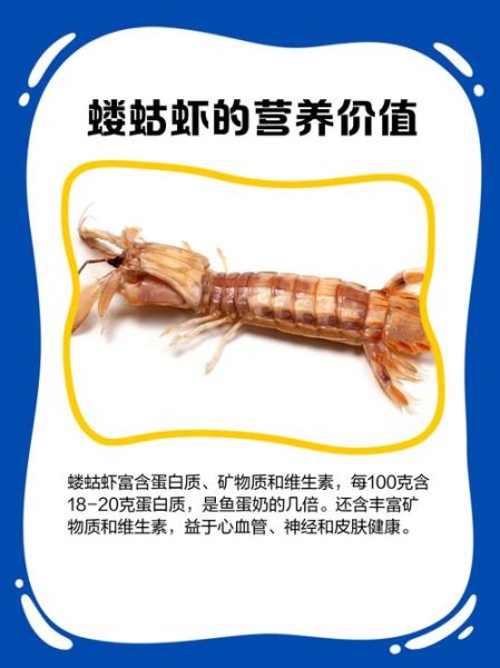 蝼蛄虾大连什么时候最肥_大连蝼蛄虾肥美季节-第1张图片-山城妙识
