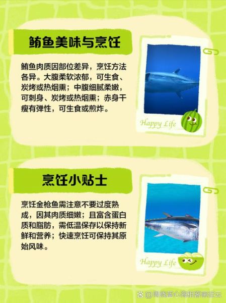 鲔鱼是什么鱼_鲔鱼和金枪鱼的区别-第2张图片-山城妙识