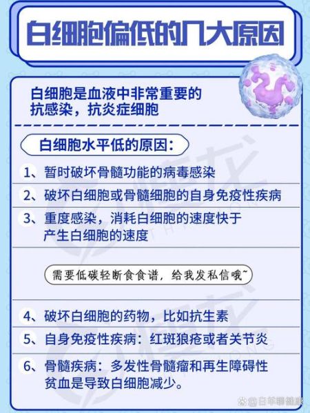 白细胞低的原因及后果_怎么治疗-第1张图片-山城妙识