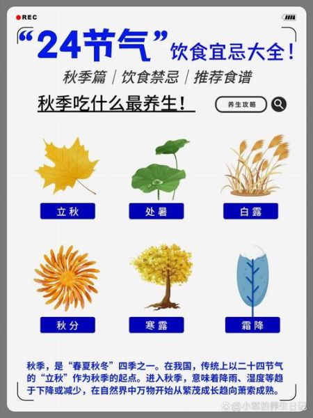 秋天吃什么食物最养生_秋季饮食禁忌有哪些-第1张图片-山城妙识 秋天吃什么食物最养生_秋季饮食禁忌有哪些-第1张图片-山城妙识