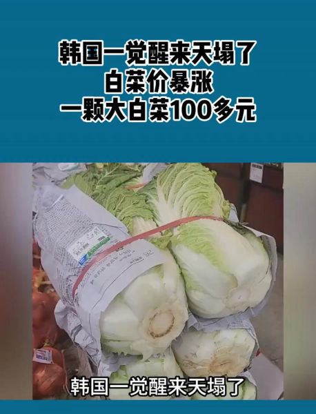 韩国菜市场在哪里_韩国菜市场价格贵吗-第3张图片-山城妙识 韩国菜市场在哪里_韩国菜市场价格贵吗-第3张图片-山城妙识