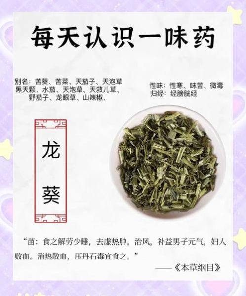 龙葵图片的功效与作用_龙葵能治疗哪些疾病-第3张图片-山城妙识 龙葵图片的功效与作用_龙葵能治疗哪些疾病-第3张图片-山城妙识