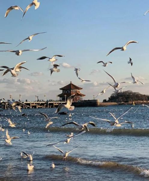 青岛十大著名景点有哪些_青岛旅游必去景点推荐-第2张图片-山城妙识 青岛十大著名景点有哪些_青岛旅游必去景点推荐-第2张图片-山城妙识