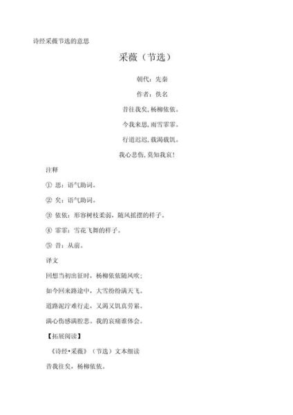 采薇节选表达了什么情感_如何赏析采薇节选-第3张图片-山城妙识