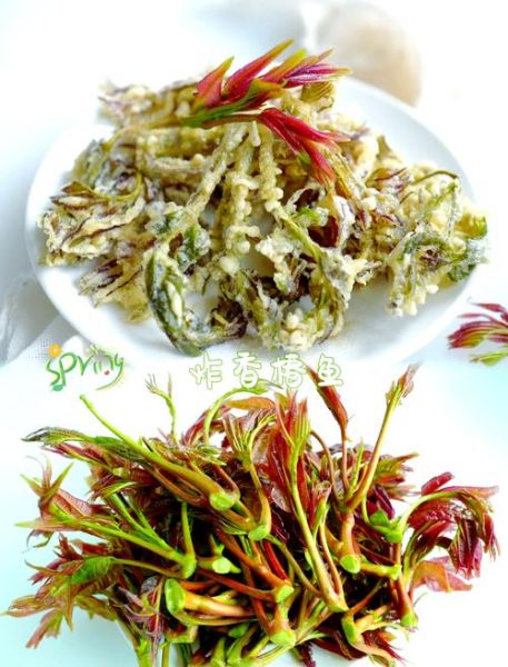 香椿怎么吃最好吃_香椿有几种吃法-第1张图片-山城妙识