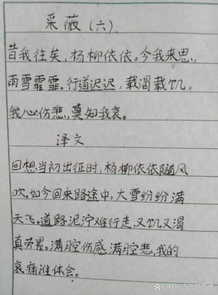 采薇节选表达了什么情感_如何赏析采薇节选-第2张图片-山城妙识