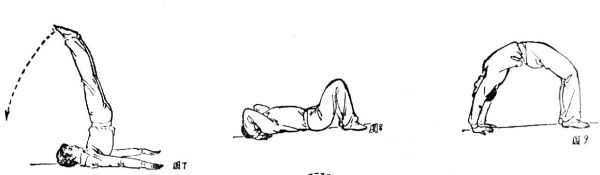 鲤鱼打挺难吗_怎么练最快学会-第1张图片-山城妙识