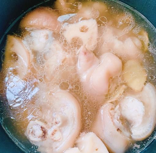 猪脚汤的做法大全_猪脚汤怎么炖才好吃-第3张图片-山城妙识