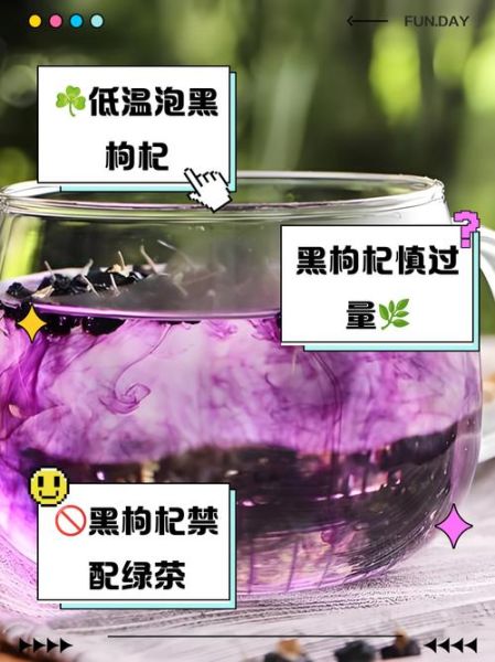 黑枸杞的功效与禁忌_黑枸杞泡水喝的正确方法-第3张图片-山城妙识