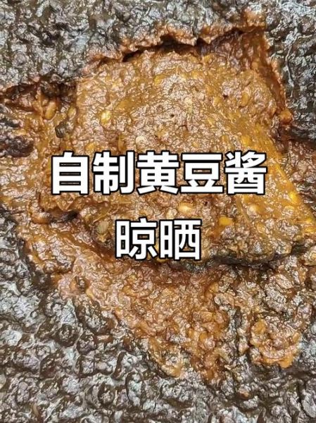 老式黄豆酱怎么做_传统配方比例是多少-第2张图片-山城妙识