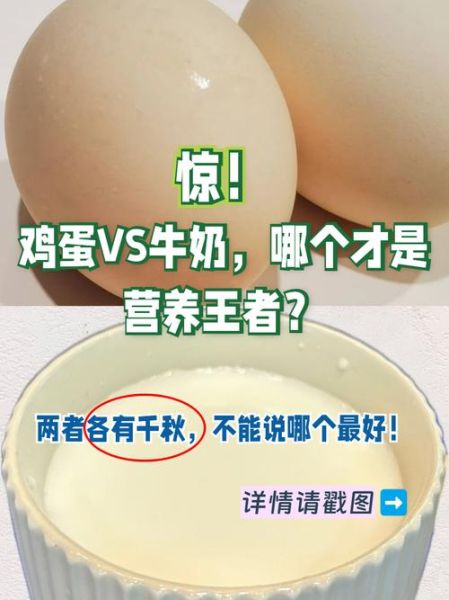 牛奶和鸡蛋能一起吃吗_早餐搭配真相-第1张图片-山城妙识