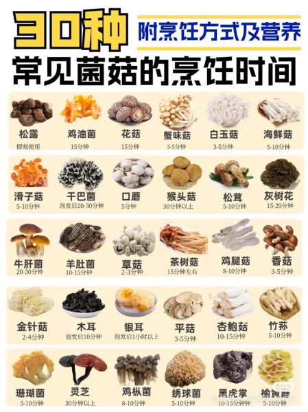 食用菌种类大全_如何挑选新鲜食用菌-第3张图片-山城妙识