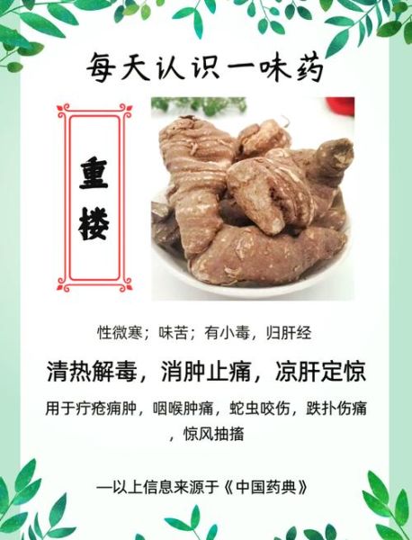 重楼多少钱一斤_重楼的功效与作用-第1张图片-山城妙识