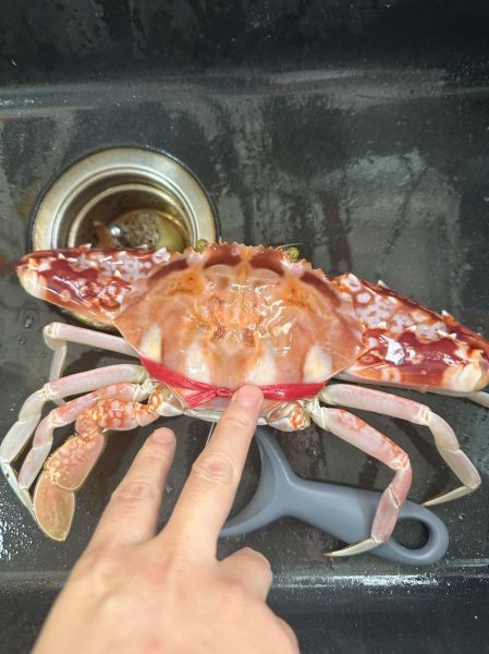 花蟹多少钱一斤_花蟹价格为什么波动这么大-第3张图片-山城妙识