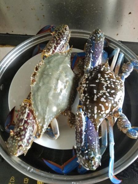 花蟹多少钱一斤_花蟹价格为什么波动这么大-第1张图片-山城妙识