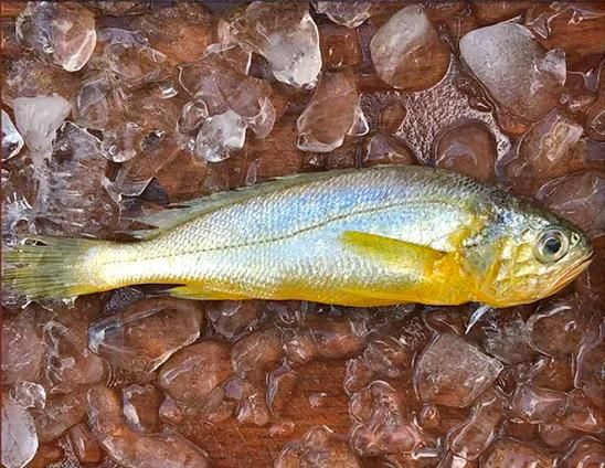 黄花鱼为什么叫黄花鱼_黄花鱼名称由来-第1张图片-山城妙识