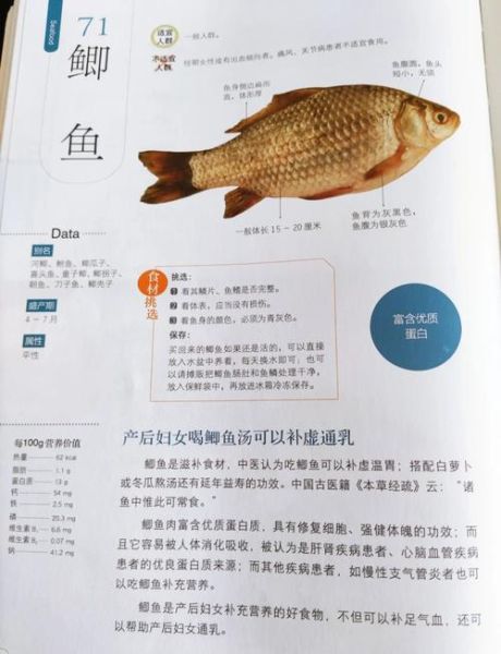 鲫鱼汤的营养价值及功效_孕妇能喝吗-第1张图片-山城妙识