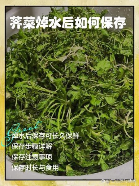 荠菜要焯水吗_焯水时间多久-第1张图片-山城妙识