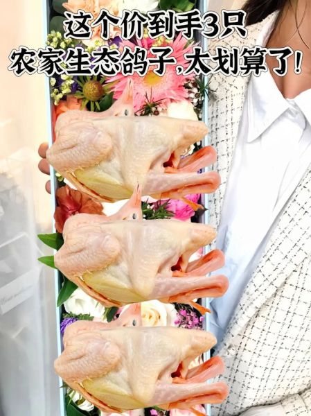 鸽子肉多少钱一斤_鸽子肉价格为什么差距大-第3张图片-山城妙识