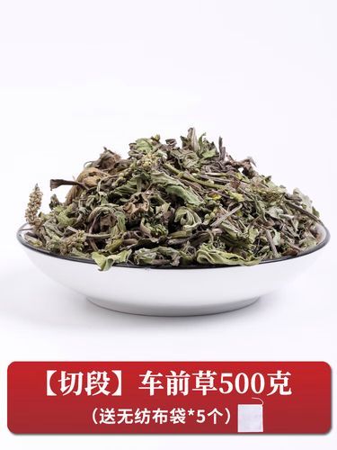 车前草晒干能泡水喝吗_车前草泡水功效与禁忌-第3张图片-山城妙识