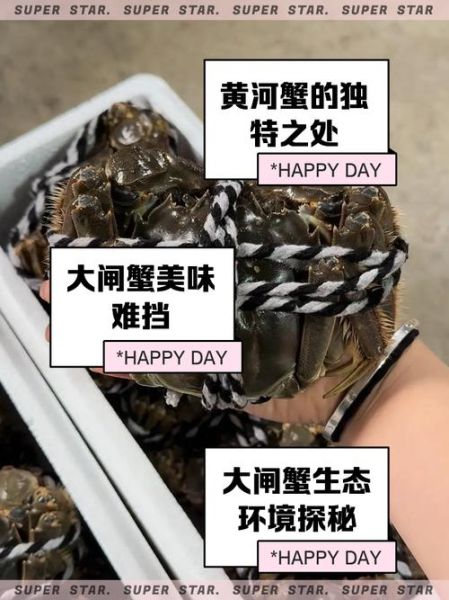 黄河口大闸蟹多少钱一斤_2024最新行情-第1张图片-山城妙识