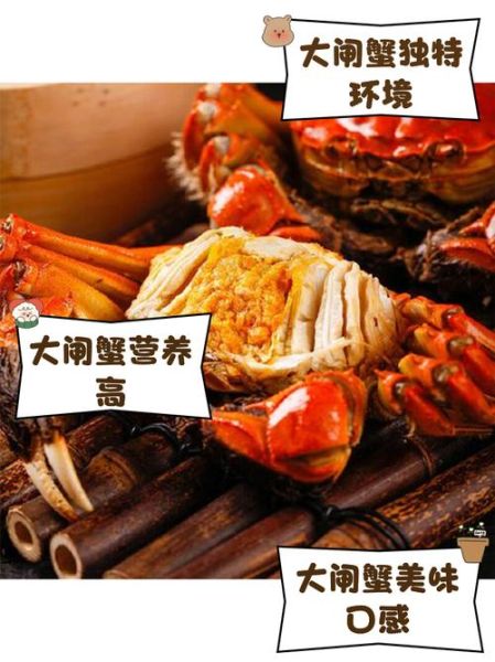 黄河口大闸蟹多少钱一斤_2024最新行情-第2张图片-山城妙识